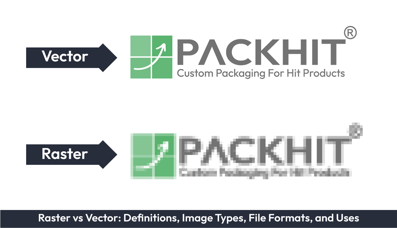 Raster vs Vector: Definition, File Formats, Uses, and Differences